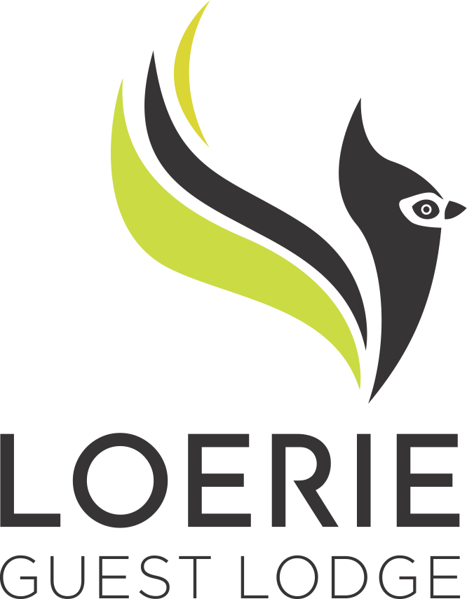 Sophisticated and comfortable accommodation in George